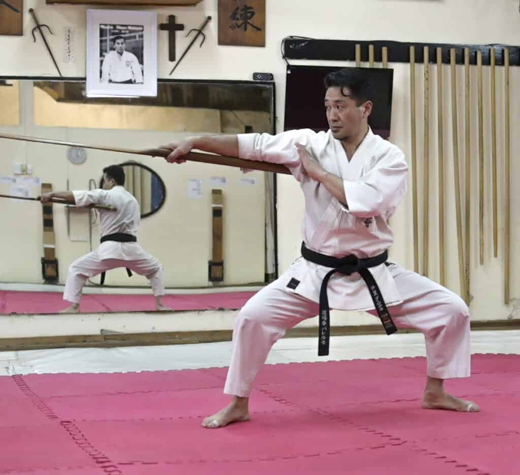 Director Actual - Dojos Ken